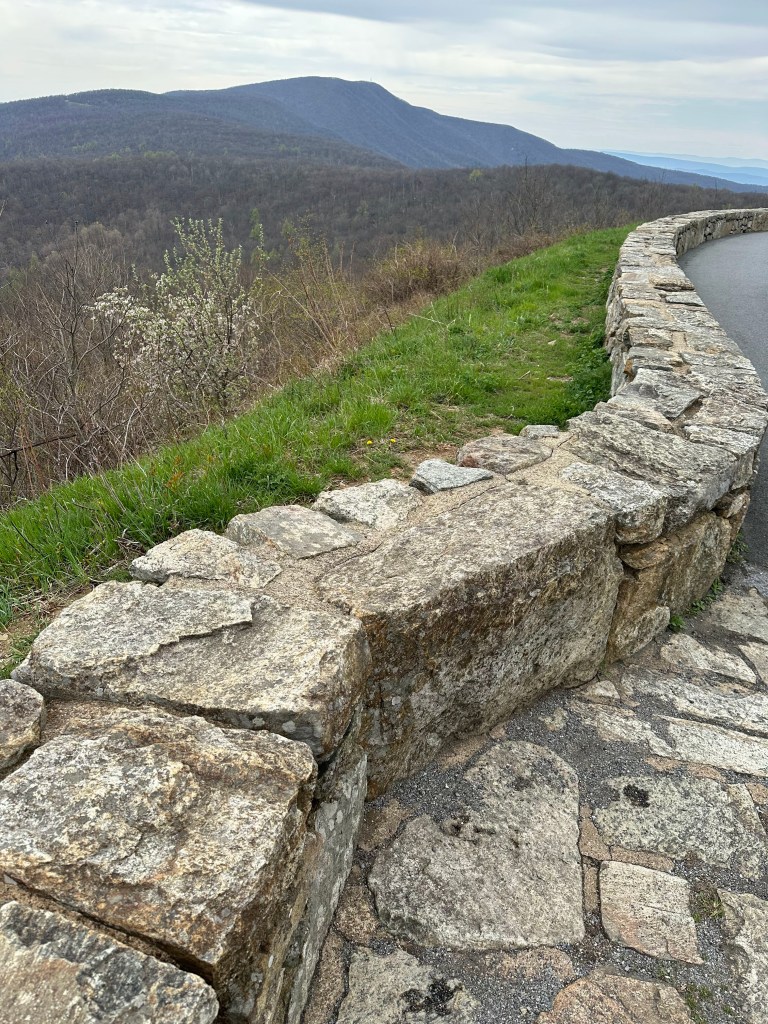 Eat On Edgecliff – a collection of tried and true