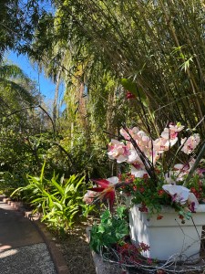 Eat On Edgecliff – a collection of tried and true